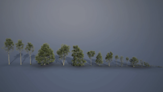 Megascans Trees スキャンされて作成された22種類の木や苗木をUEマーケットプレイスから無料ダウンロード出来ます • 3DCG ...